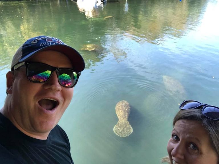 Where To See Manatees In Florida: 7 Unforgettable Places (Plus Bonus ...