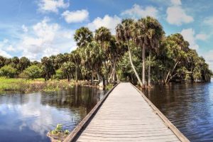 Top 10 Fun Things To Do In North Port Florida For Locals & Visitors